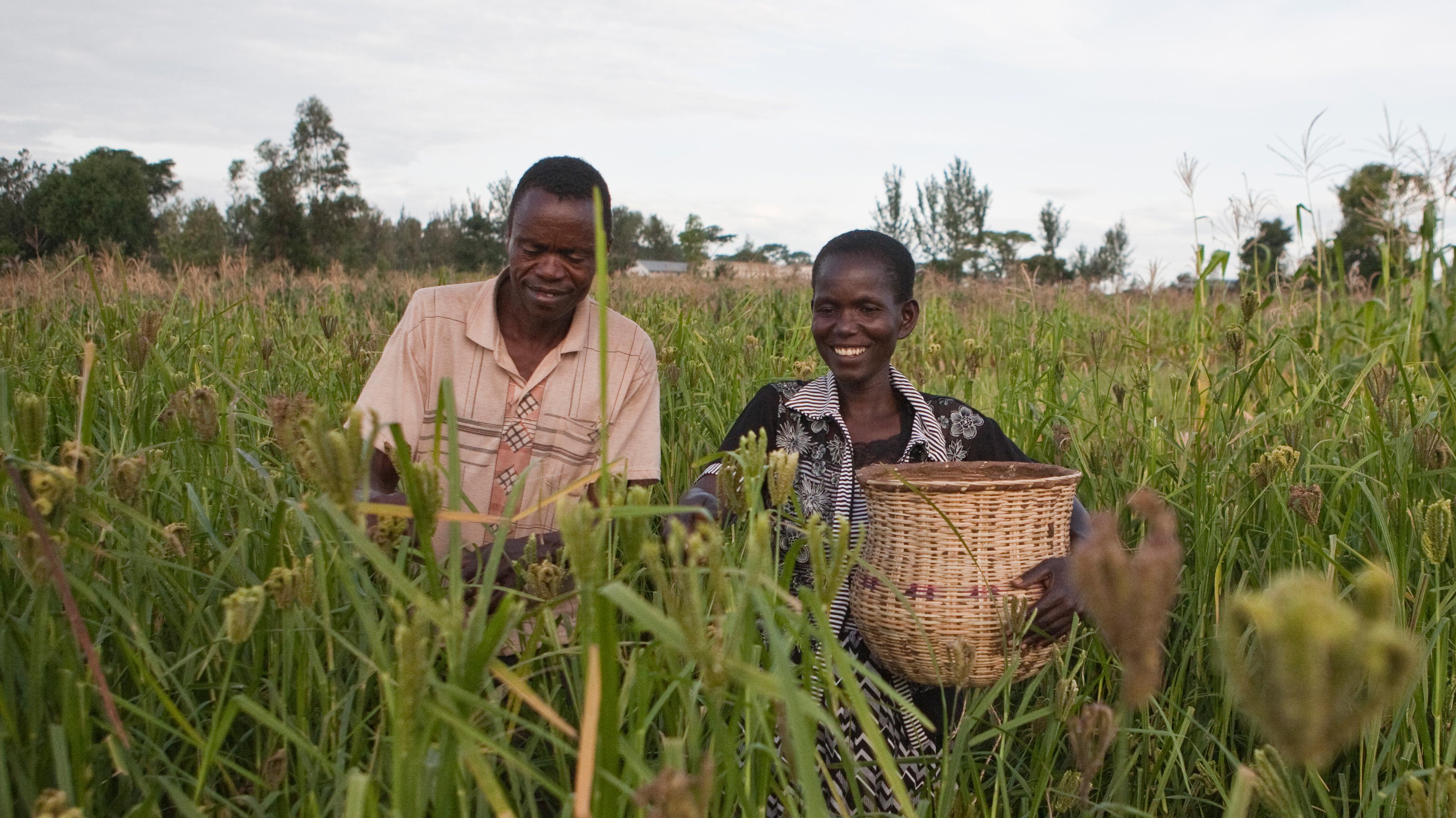 Financing Small Agribusiness in Africa | Gates Foundation Strategic ...